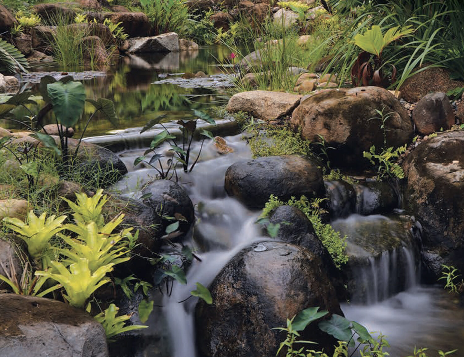 DécorEarth Glenorchy | Aquascape Australia